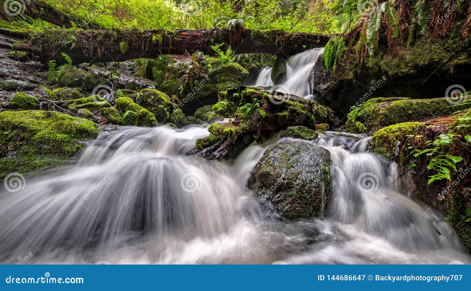 A Small Waterfall in the Rain Forest, Northern California Stock Image ...