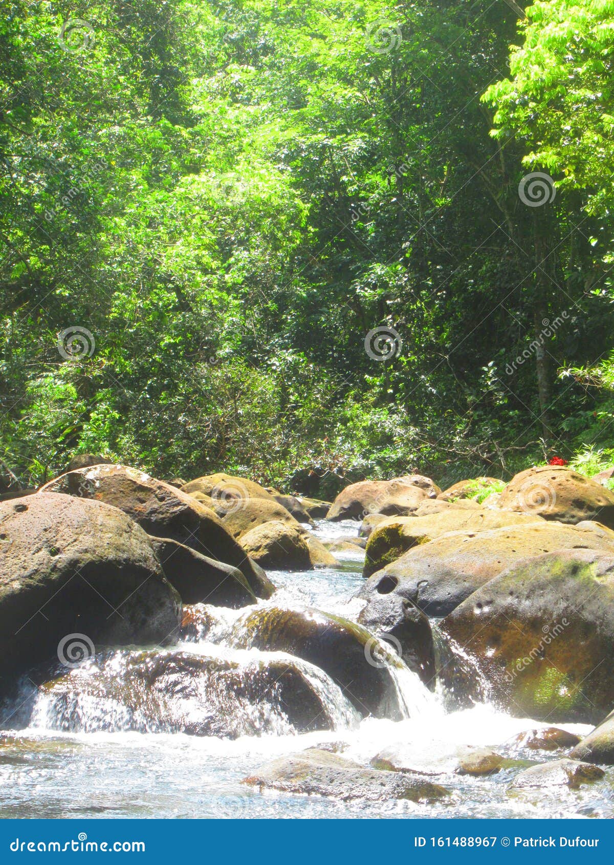 A Small Waterfall in the Rainforest Stock Image - Image of beautiful ...