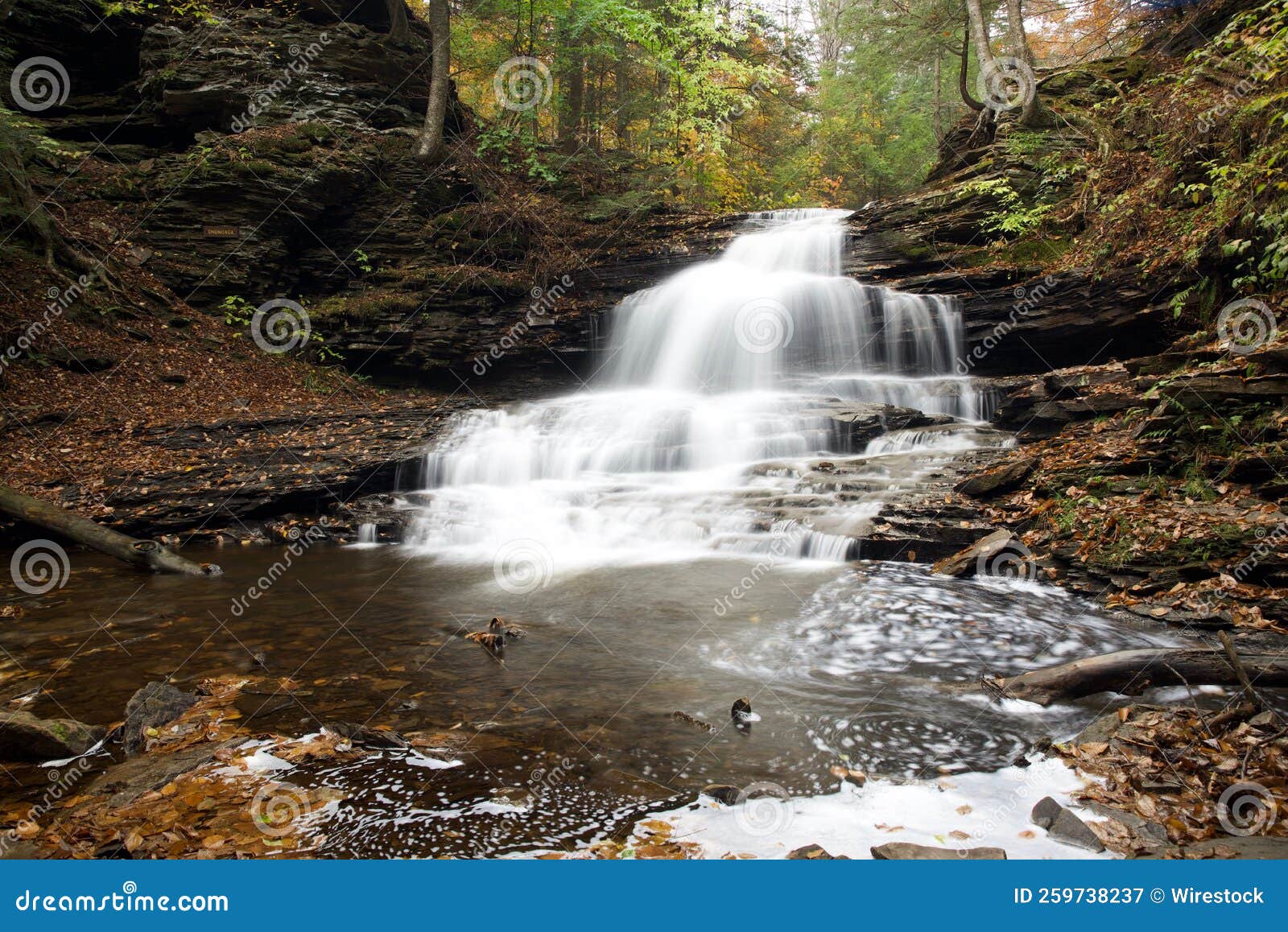 Small Waterfall on a River in a Forest Stock Image - Image of waterfall ...