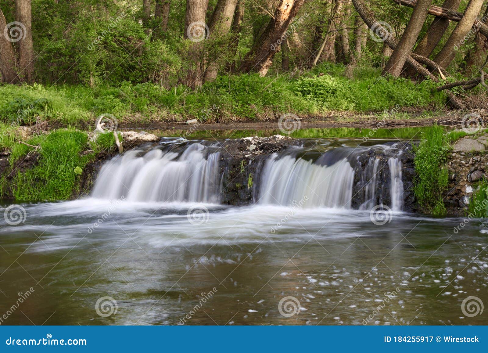 Small Waterfall on the River in the Green Forest Stock Image - Image of ...