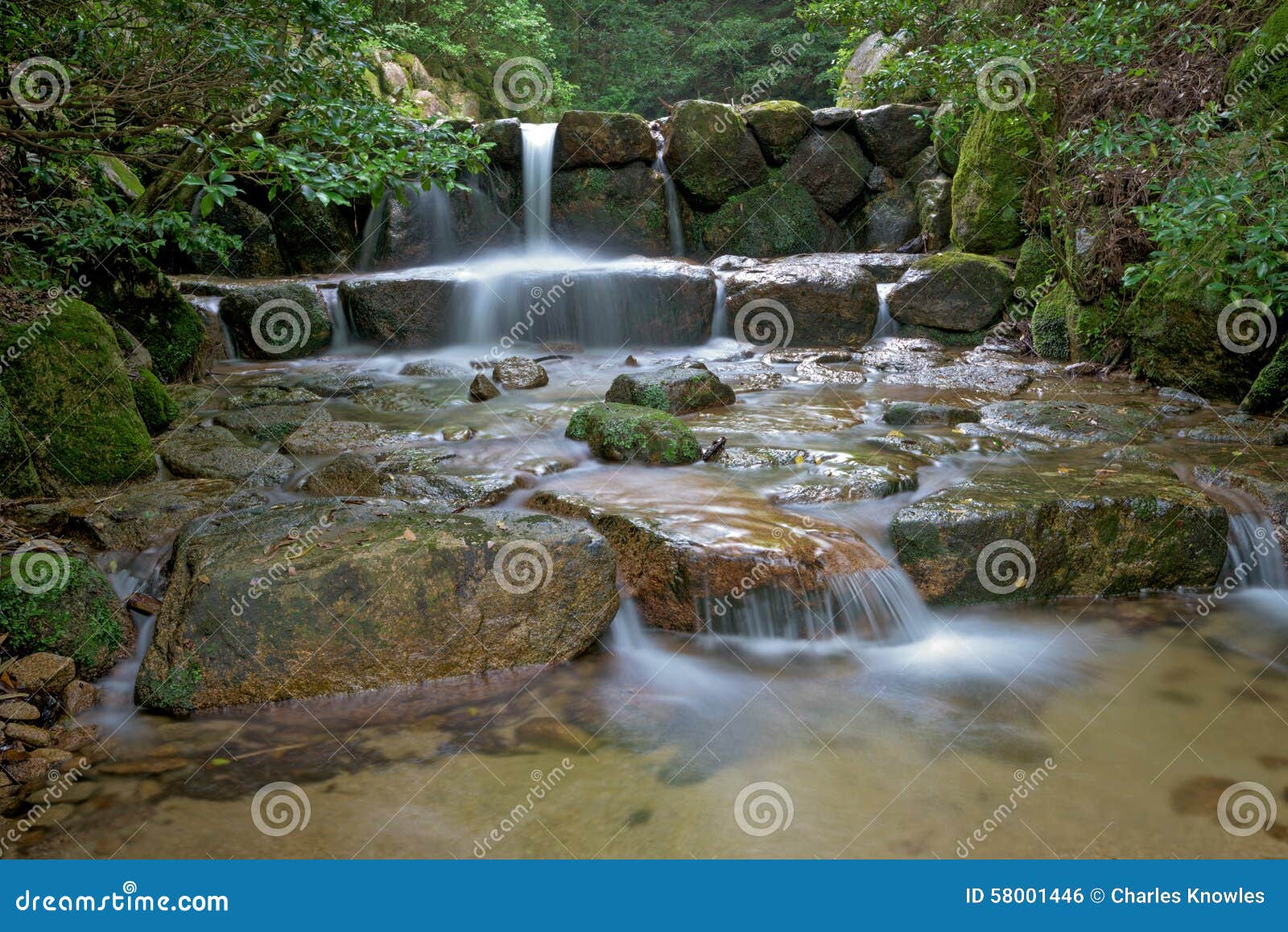 Small Waterfall on a River in Japan Stock Photo - Image of forest ...