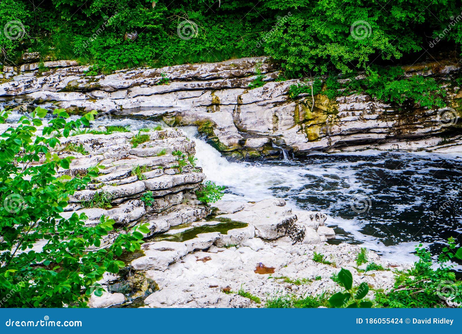 Small Waterfall in River Kent at Force Falls Sedwick Stock Photo ...