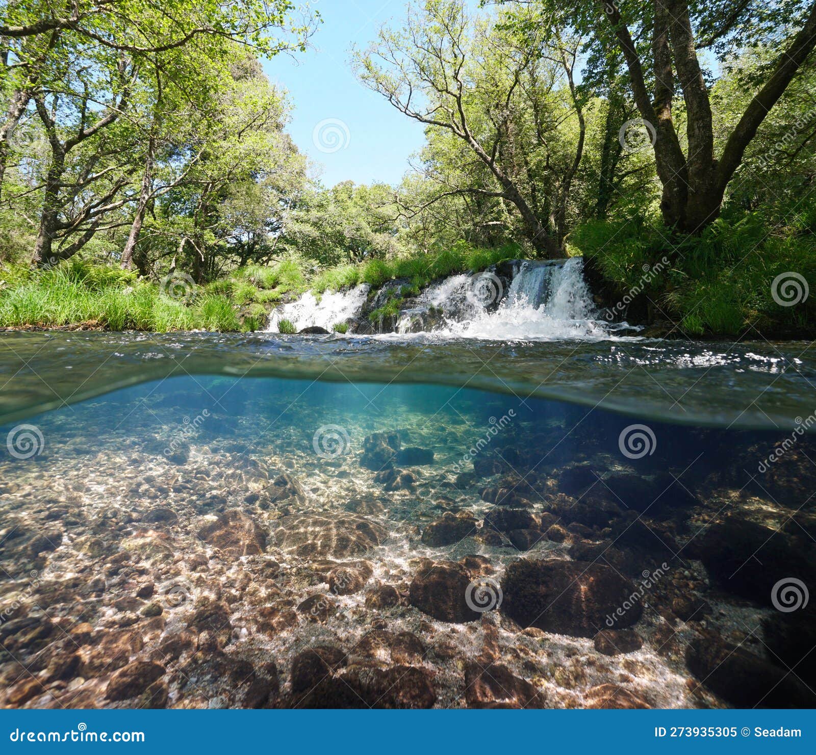 Small Waterfall on a River Over and Under Water Surface Stock Image ...