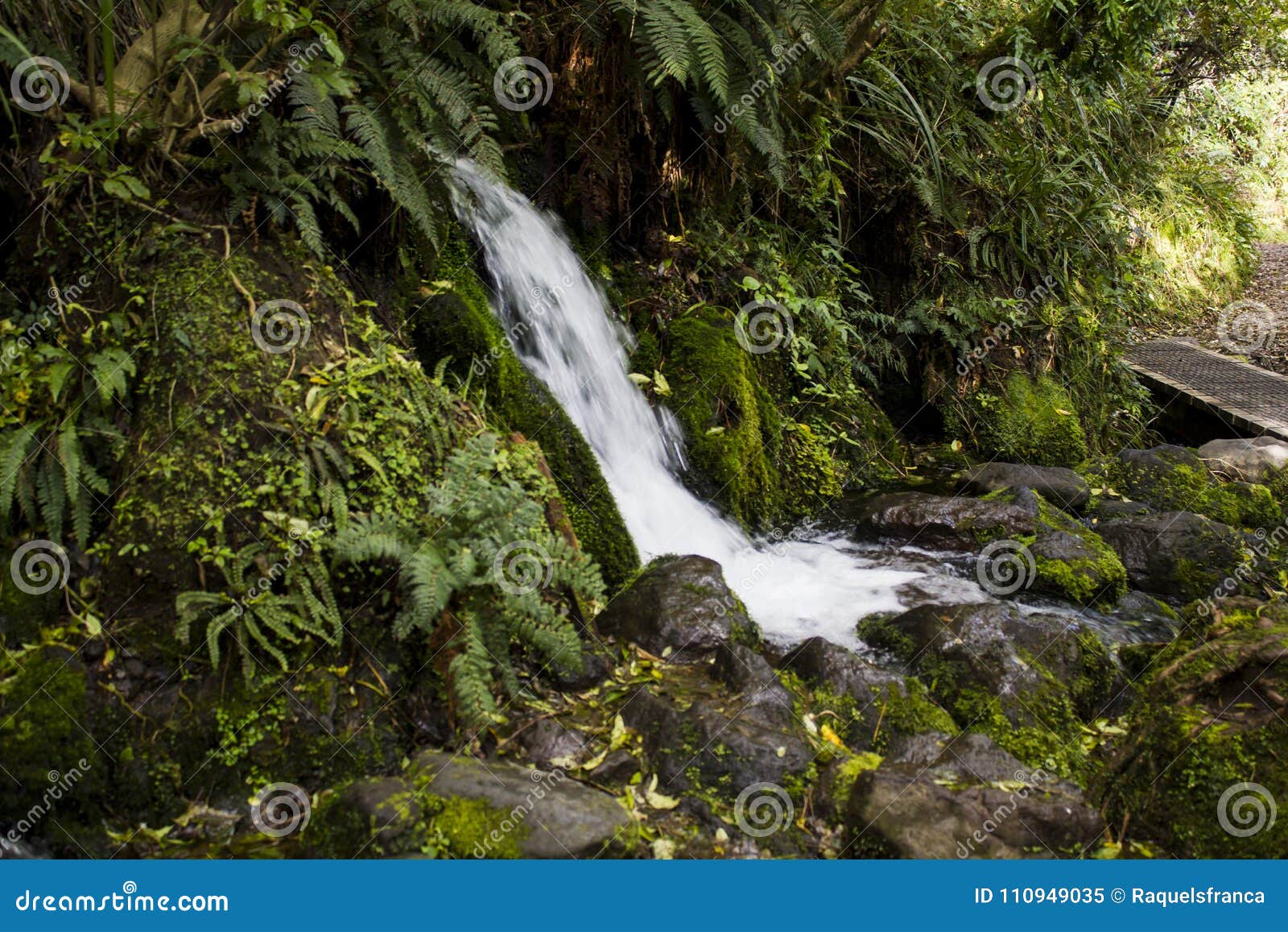 Small Waterfall of a River Running through Forest Stock Image - Image ...