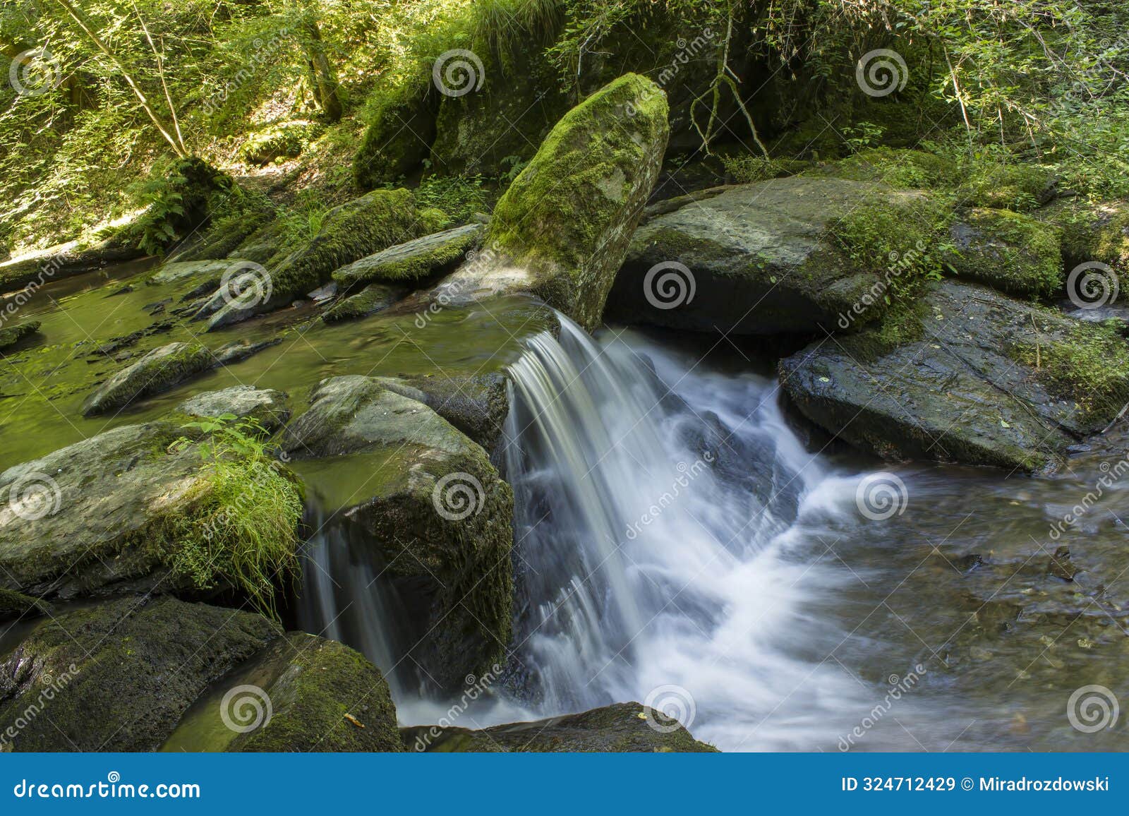 Small Waterfall on a Rock in the Forest Stock Image - Image of stream ...