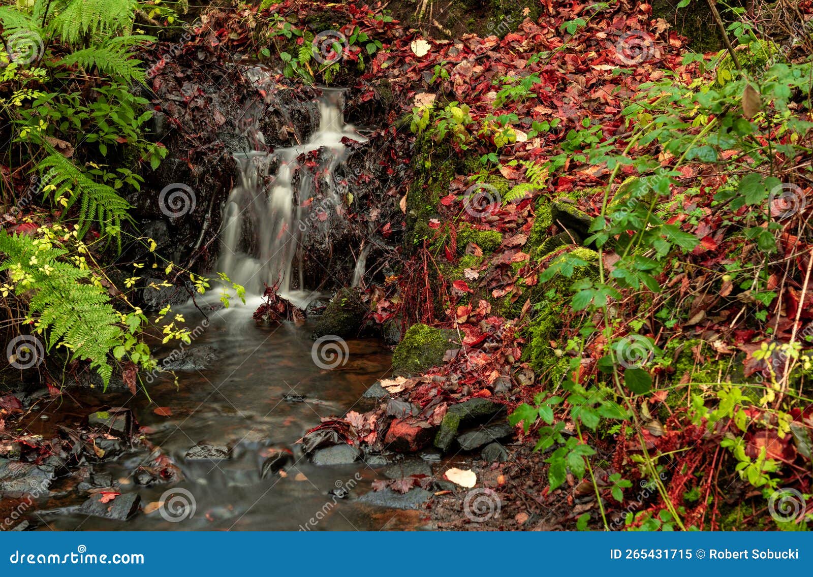 Small Waterfall among the Rocks. Stock Image - Image of flower, pond ...