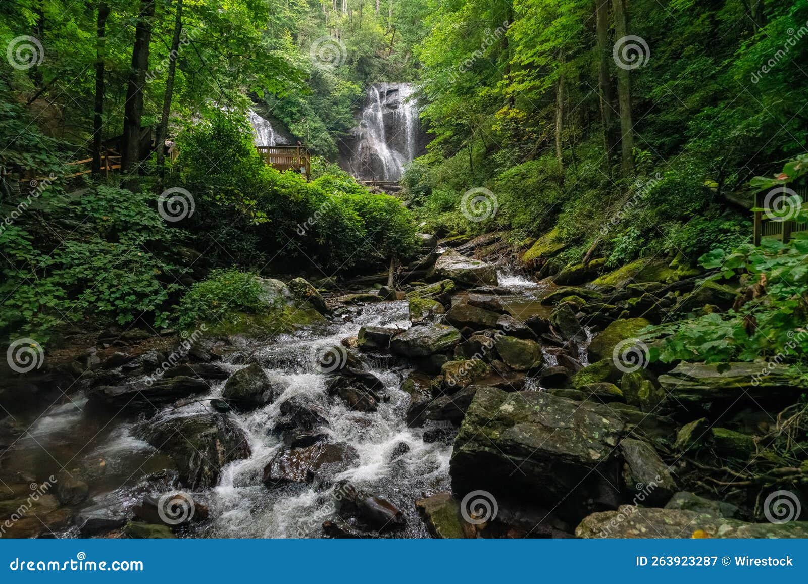 Small Waterfall on Rocks Surrounded by Greenery in a Forest in the ...