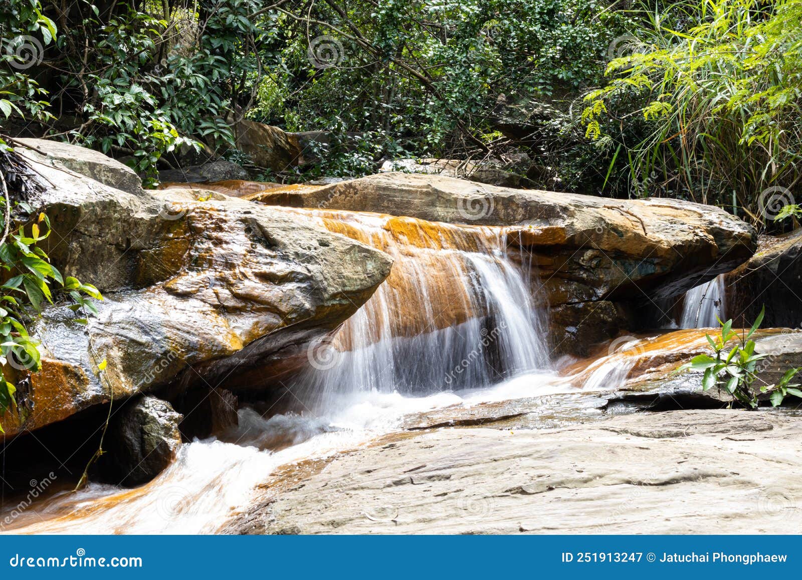 Small Waterfall Running through Rock Slab in Forest Surrounded by Trees ...