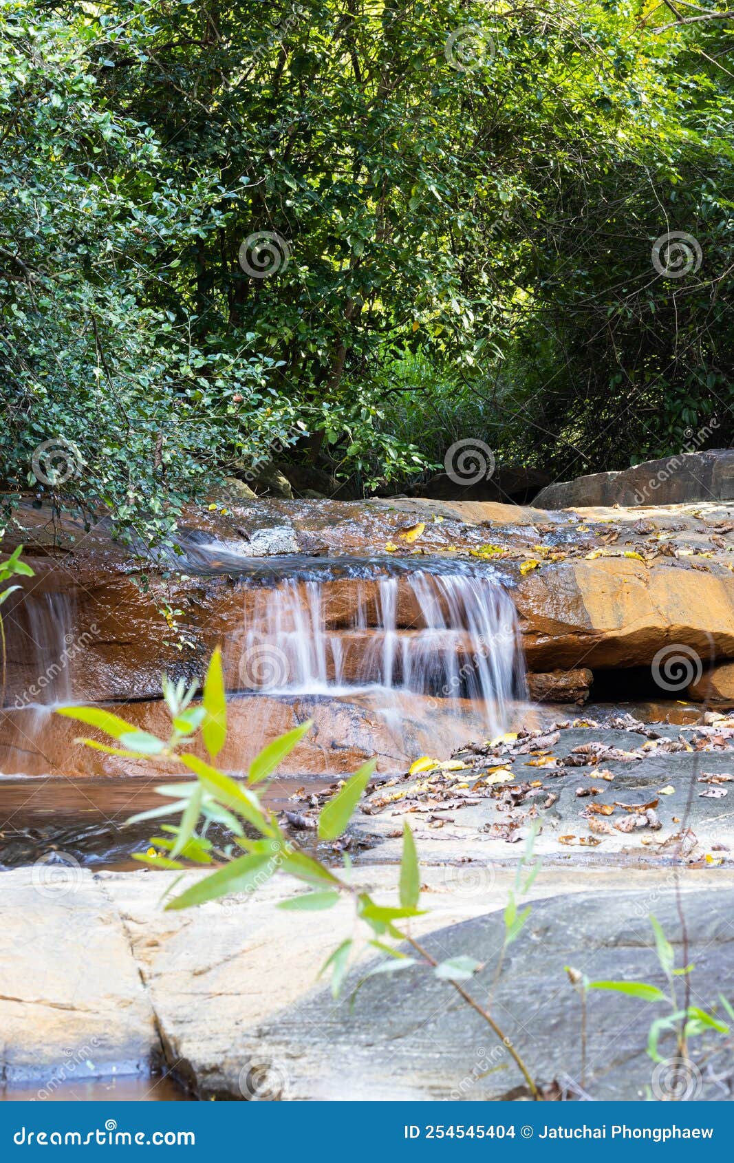 Small Waterfall Running through Rock Slab in Forest Surrounded by Trees ...