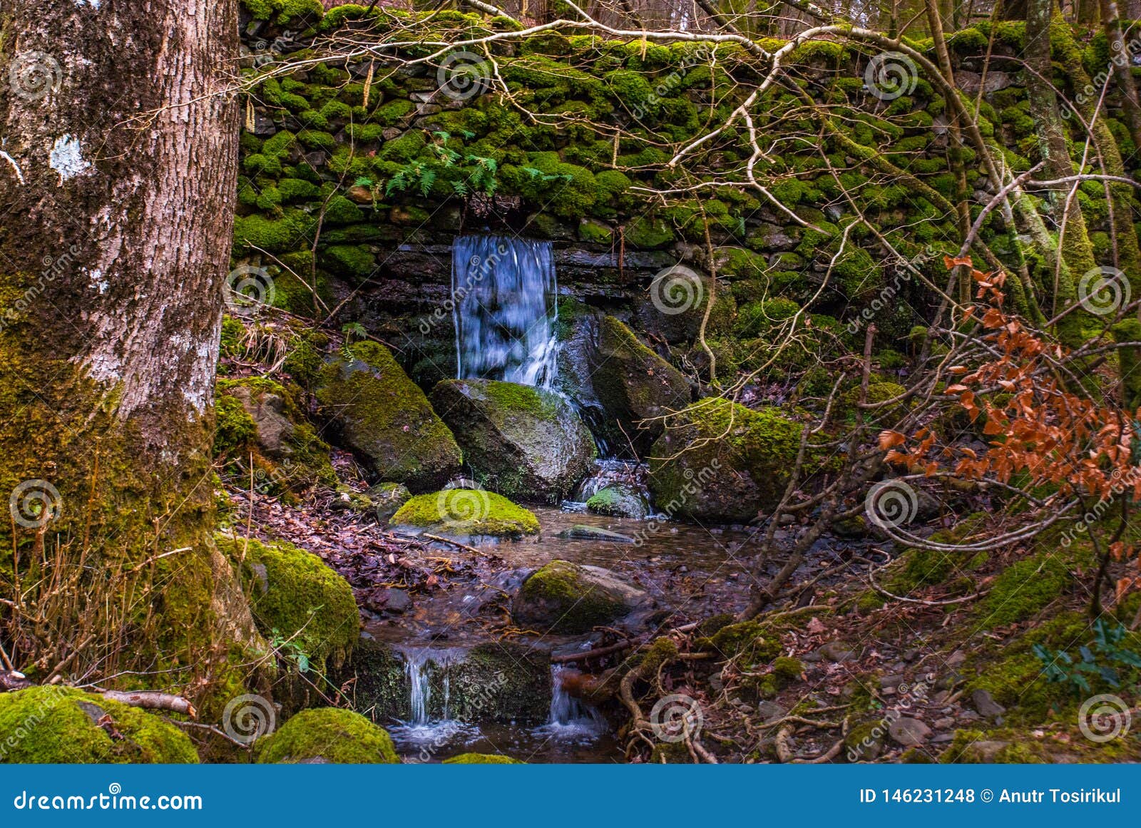 Small Waterfall in the Spring Forest Stock Photo - Image of jungle ...