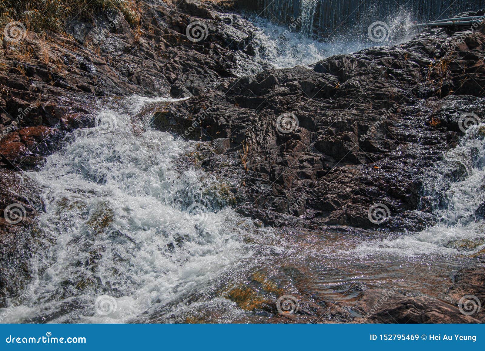Small Waterfall in a Steam, Summer Stock Image - Image of green ...