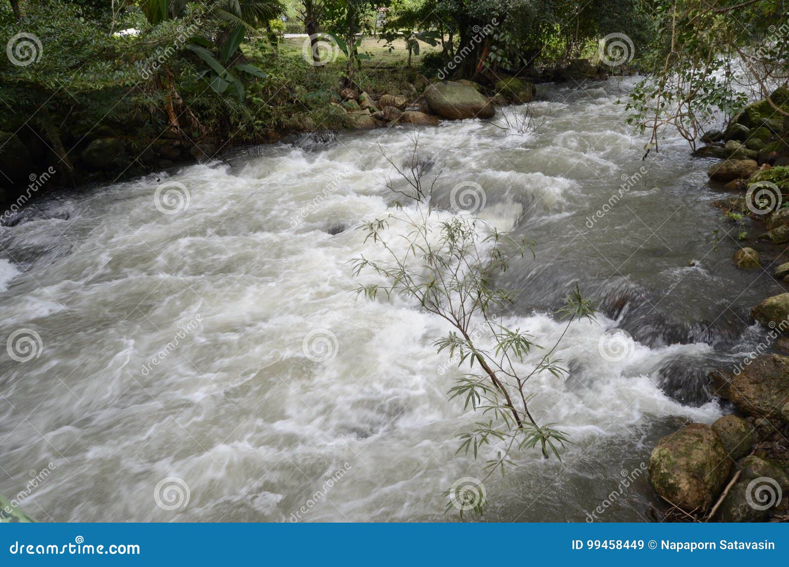 Waterfall and steam stock image. Image of ecosystem, river - 99458449
