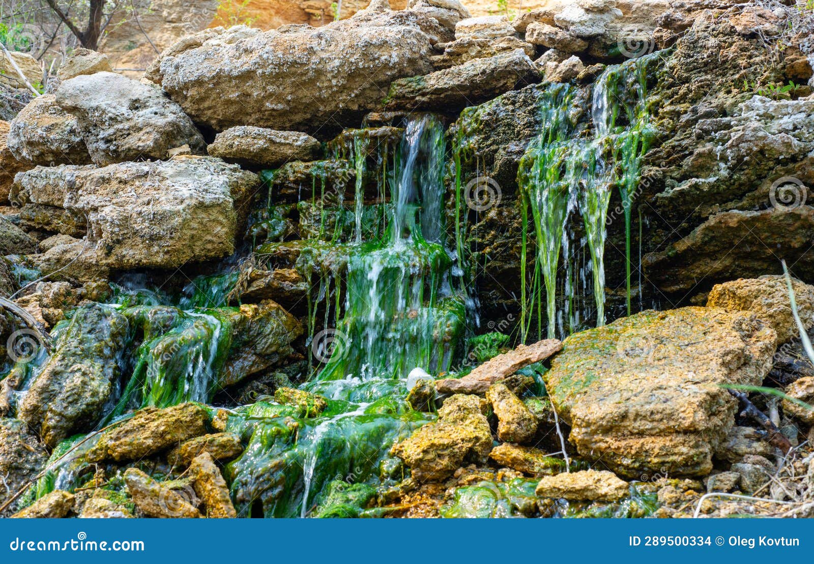 Small Waterfall on Stones Covered with Freshwater Green Algae ...