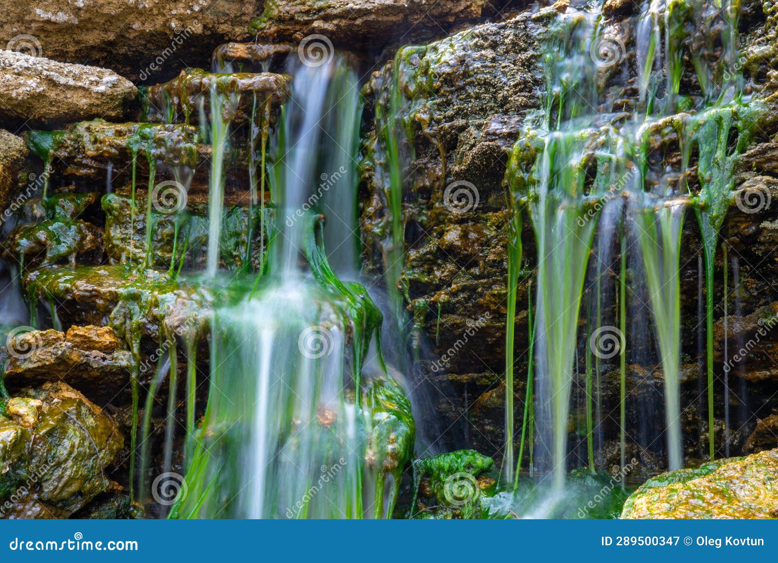 Small Waterfall on Stones Covered with Freshwater Green Algae ...