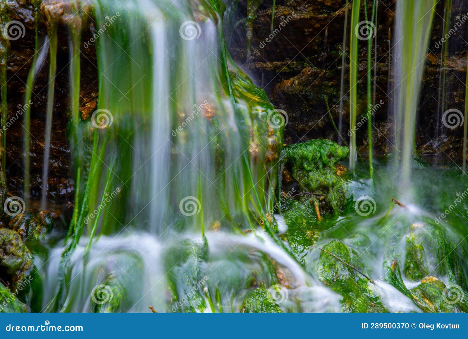 Small Waterfall on Stones Covered with Freshwater Green Algae ...