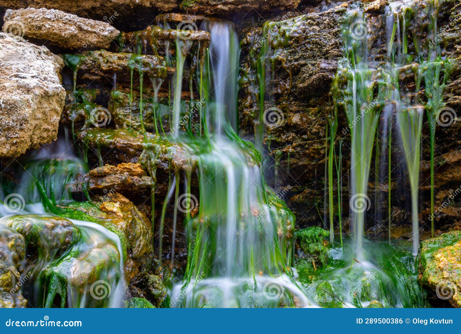 Small Waterfall on Stones Covered with Freshwater Green Algae ...