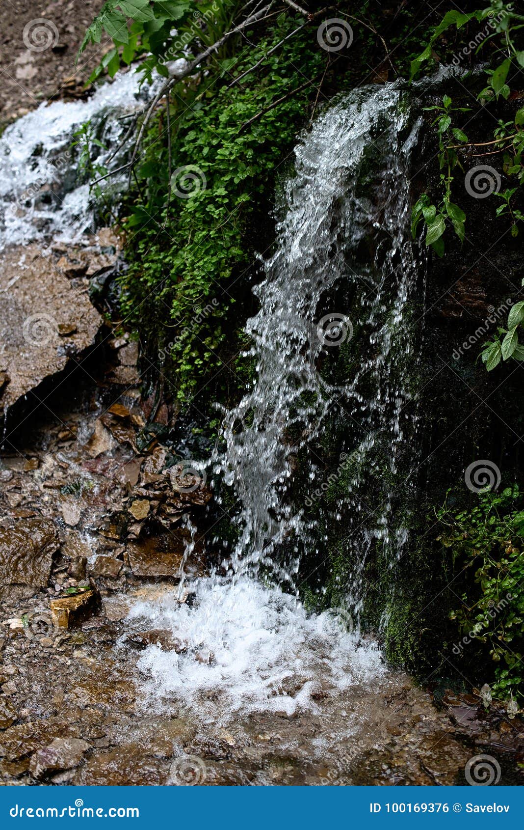 A Waterfall, Stones and Grass Stock Photo - Image of coast, beauty ...