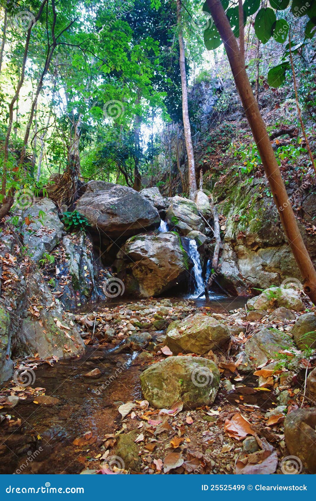 Small waterfall in stream stock image. Image of creek - 25525499