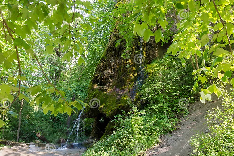 Small Waterfall on Stream Flowing Along the Rock with Grotto Stock ...