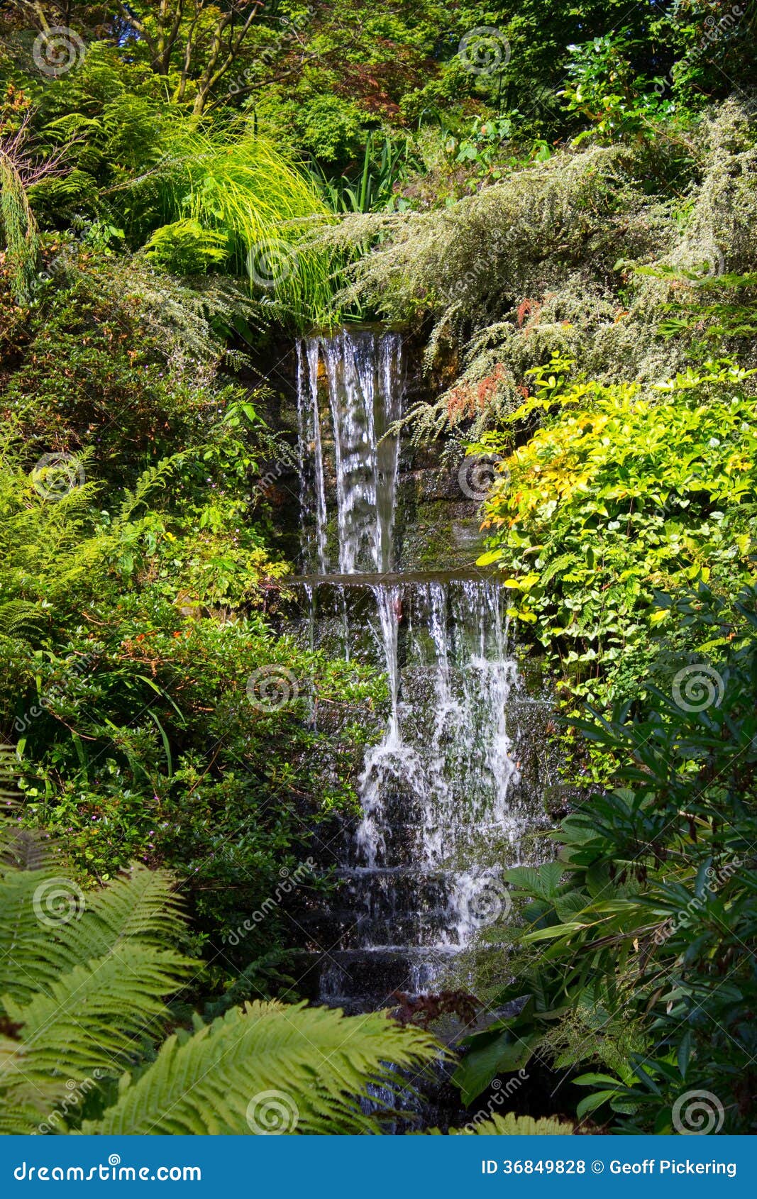 Small Waterfall stock photo. Image of beautiful, nature - 36849828