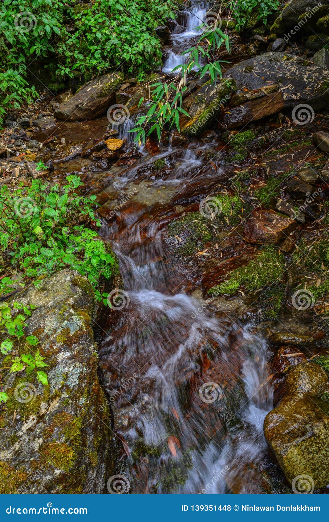 Small Waterfall with Stream at Forest Stock Photo - Image of green ...