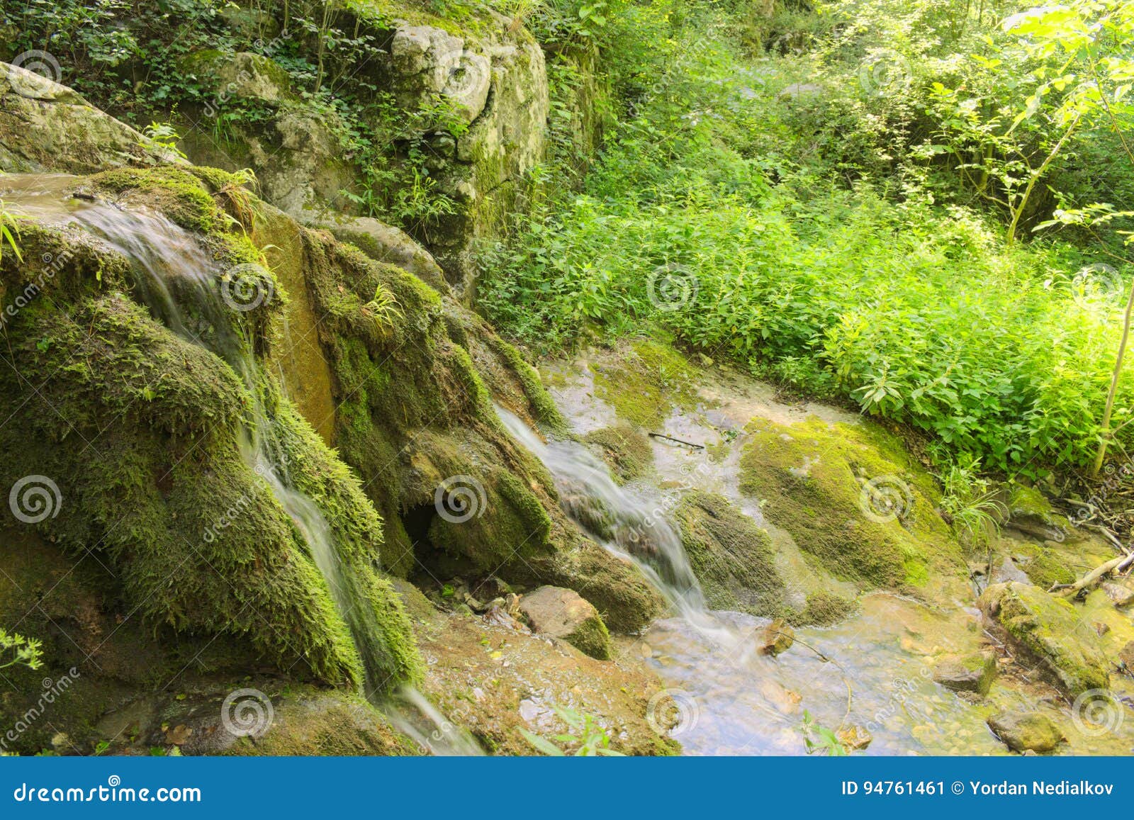 Small Waterfall on a Stream in the Mountain Forest Stock Image - Image ...