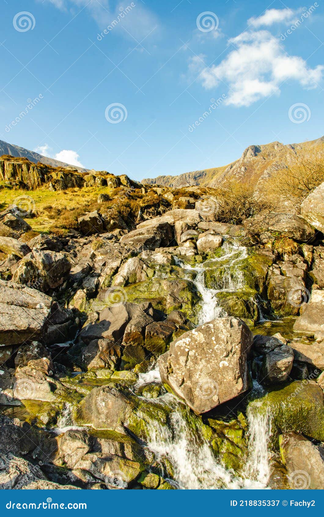 Small Waterfall Stream in Nature. Water Flowing through the Rocks Stock ...