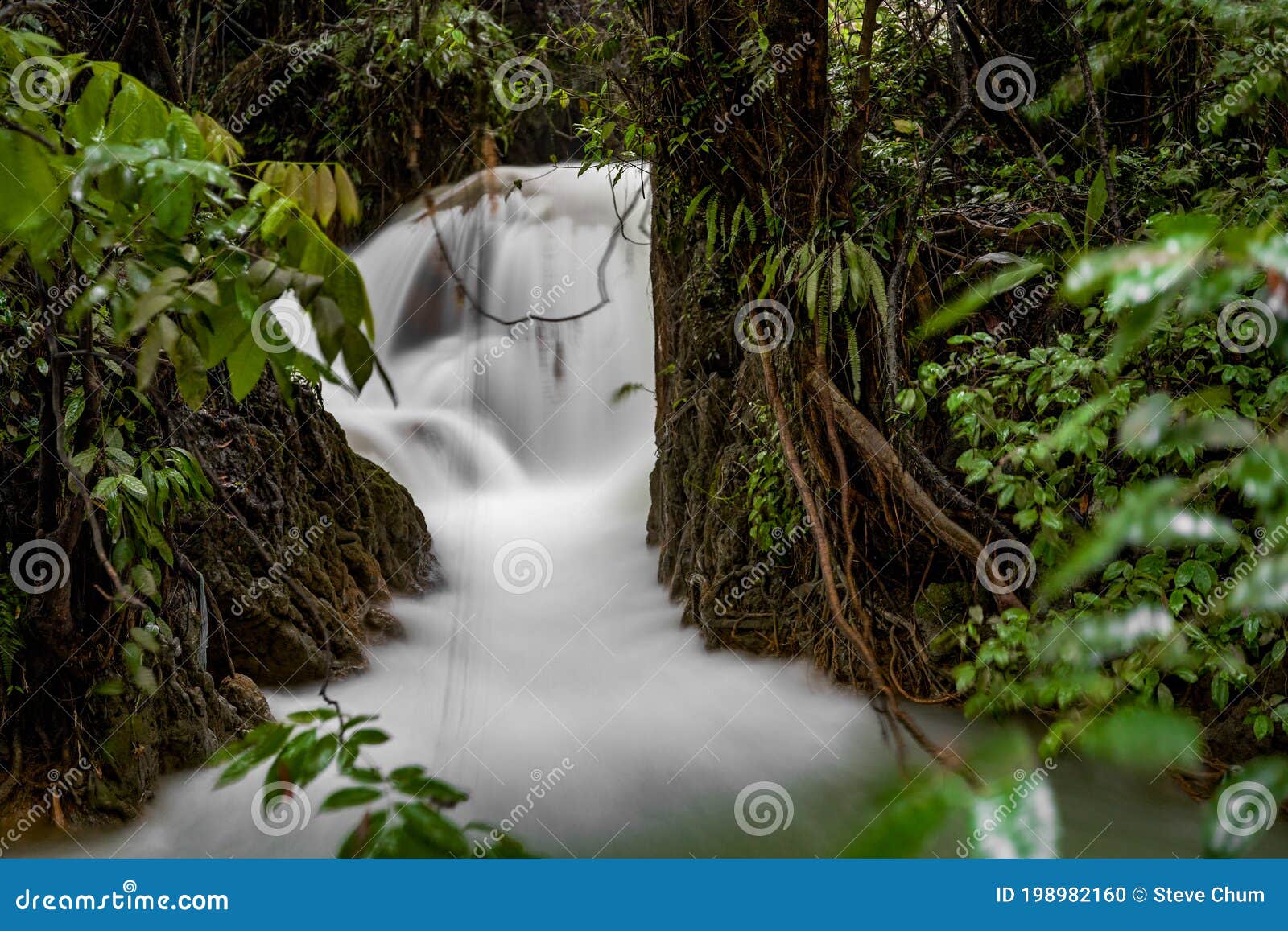 Small Waterfall, Stream, Water Flow in the Jungle Stock Photo - Image ...