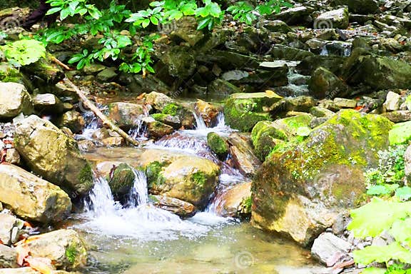 Small waterfall stock photo. Image of feed, rocks, green - 45406542