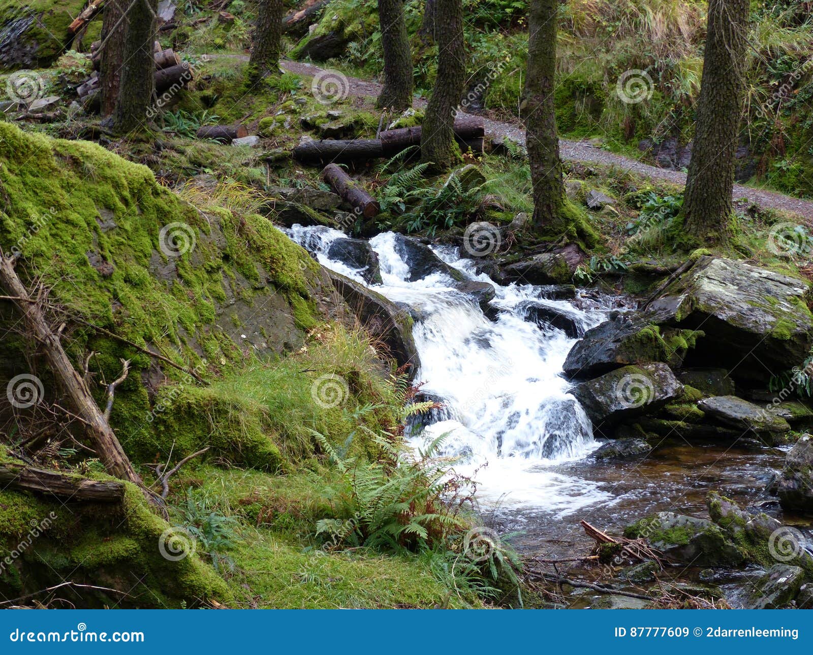 Small Waterfall Stream in the Woods Stock Image - Image of waterfall ...