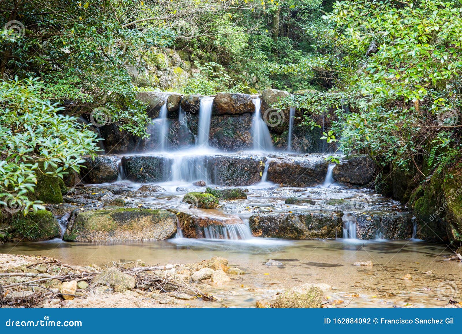 Small Waterfall Streaming into Small Pond in Green Forest in Long ...