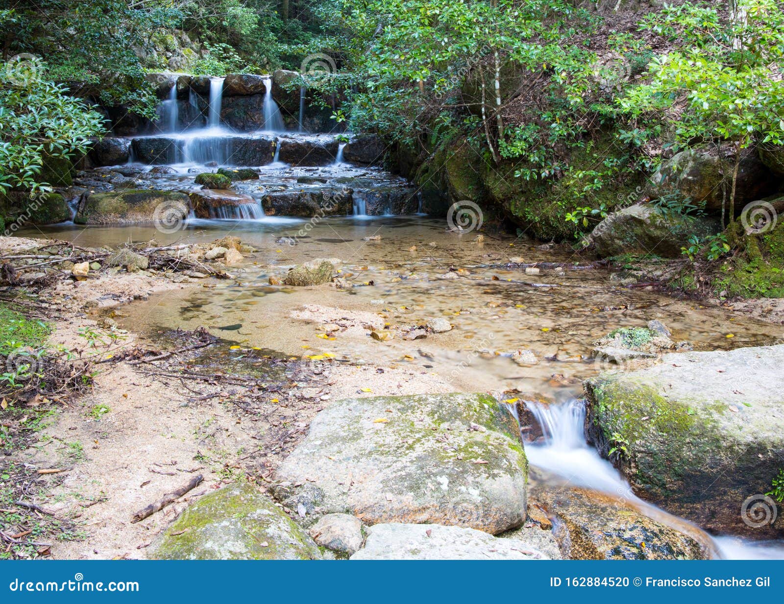 Small Waterfall Streaming into Small Pond in Green Forest in Long ...