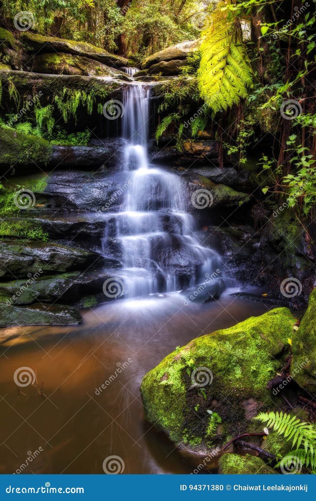 Small waterfall in Sydney stock photo. Image of scenic - 94371380
