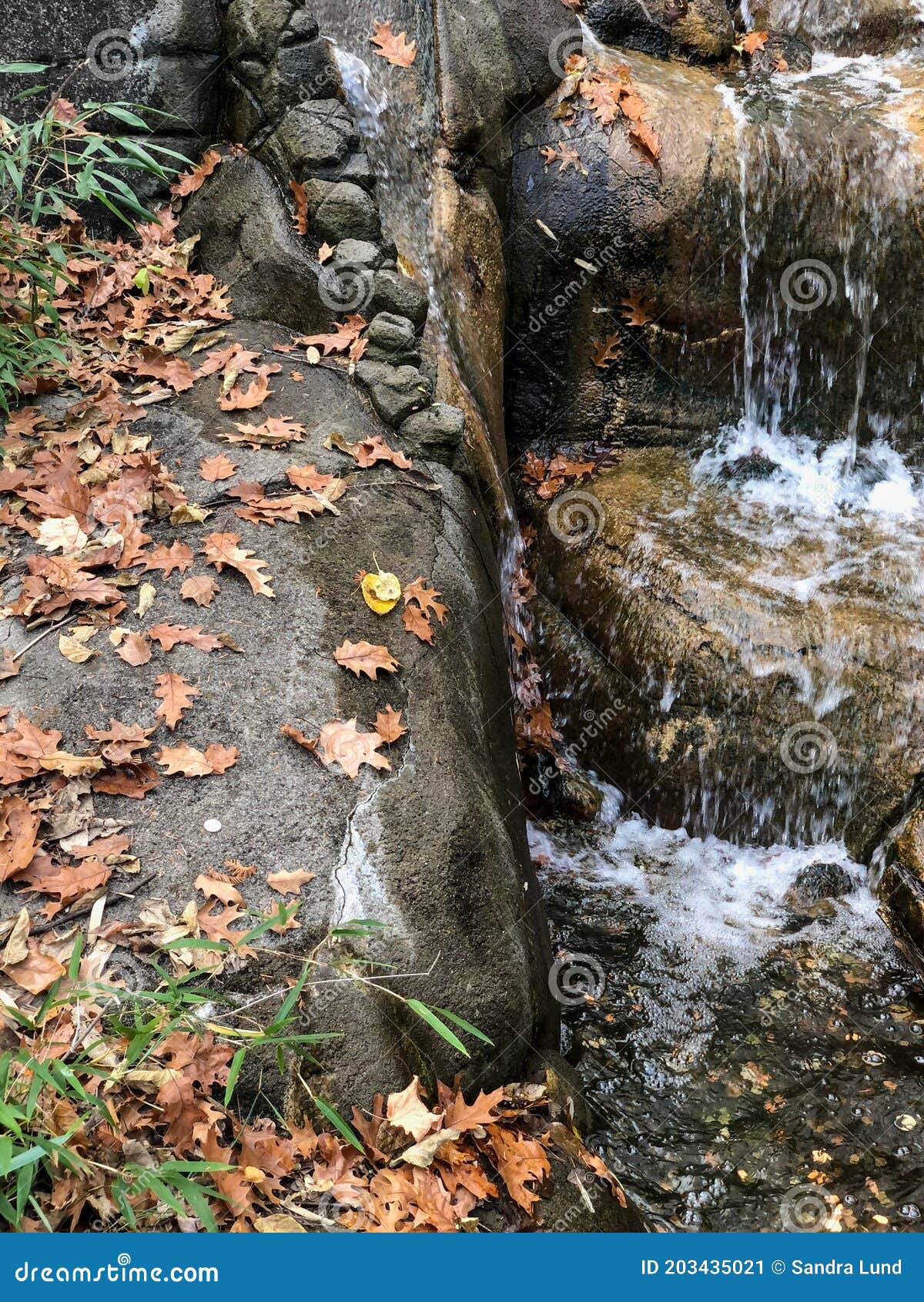 Small Waterfall Trickling Down Rocks Stock Image - Image of colors ...