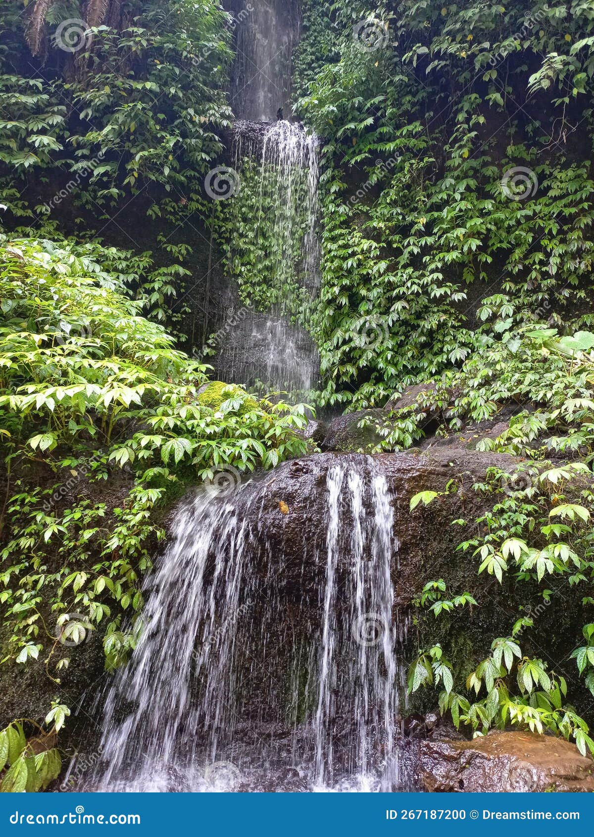 Small Waterfall in the Village Stock Photo - Image of water, waterfall ...