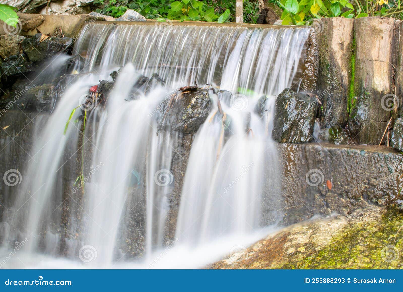 A Small Waterfall, Water Gently Flowing in a Stream, in the Forest ...