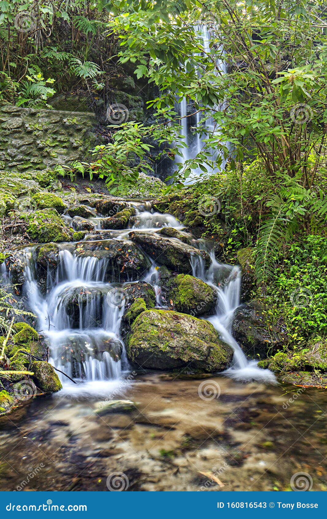 Small Waterfalls in a Dense Forest Stock Image - Image of nature ...