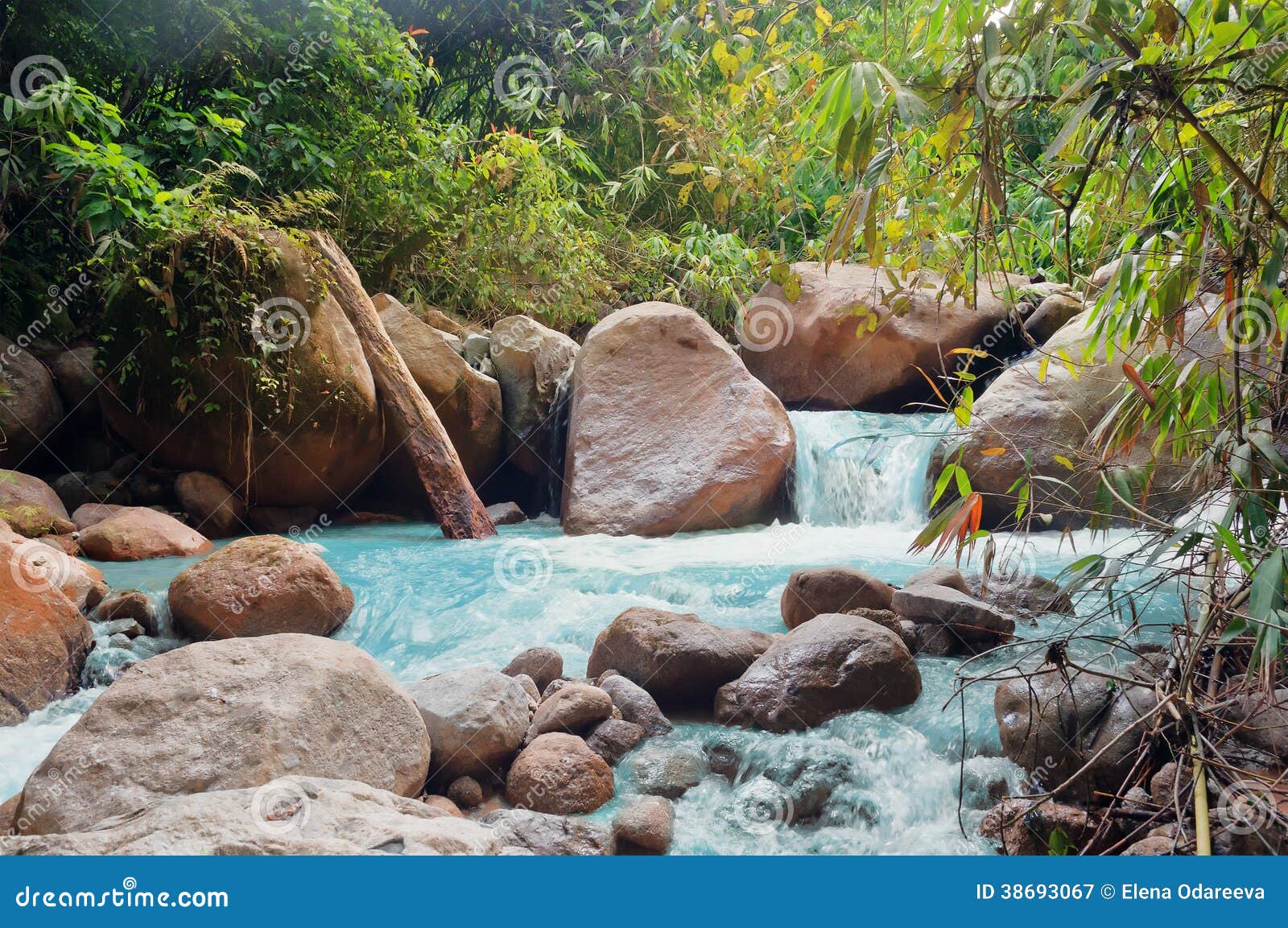 Small waterfalls in jungle stock image. Image of nature - 38693067