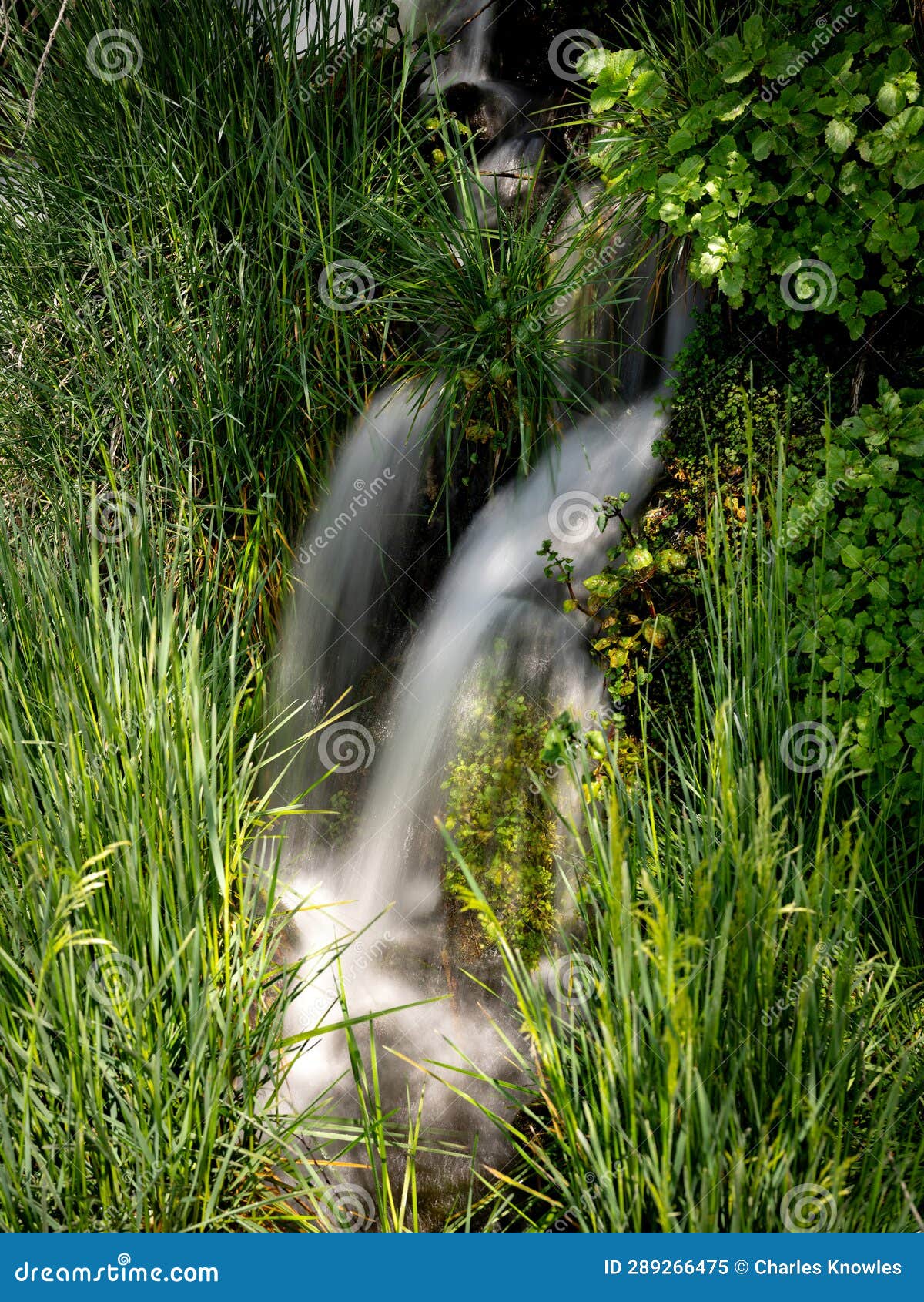 Small Waterfalls in Wild Grass Stock Image - Image of water, waterfalls ...