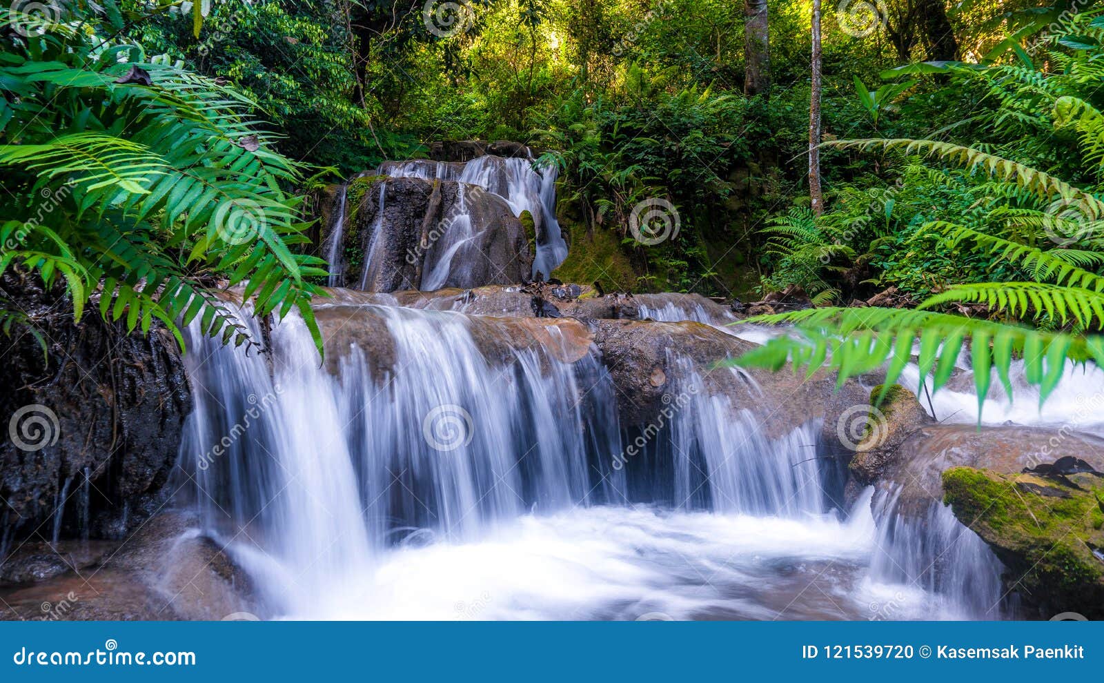 Small Waterfalls in the Wild with Nature. Stock Photo - Image of stone ...