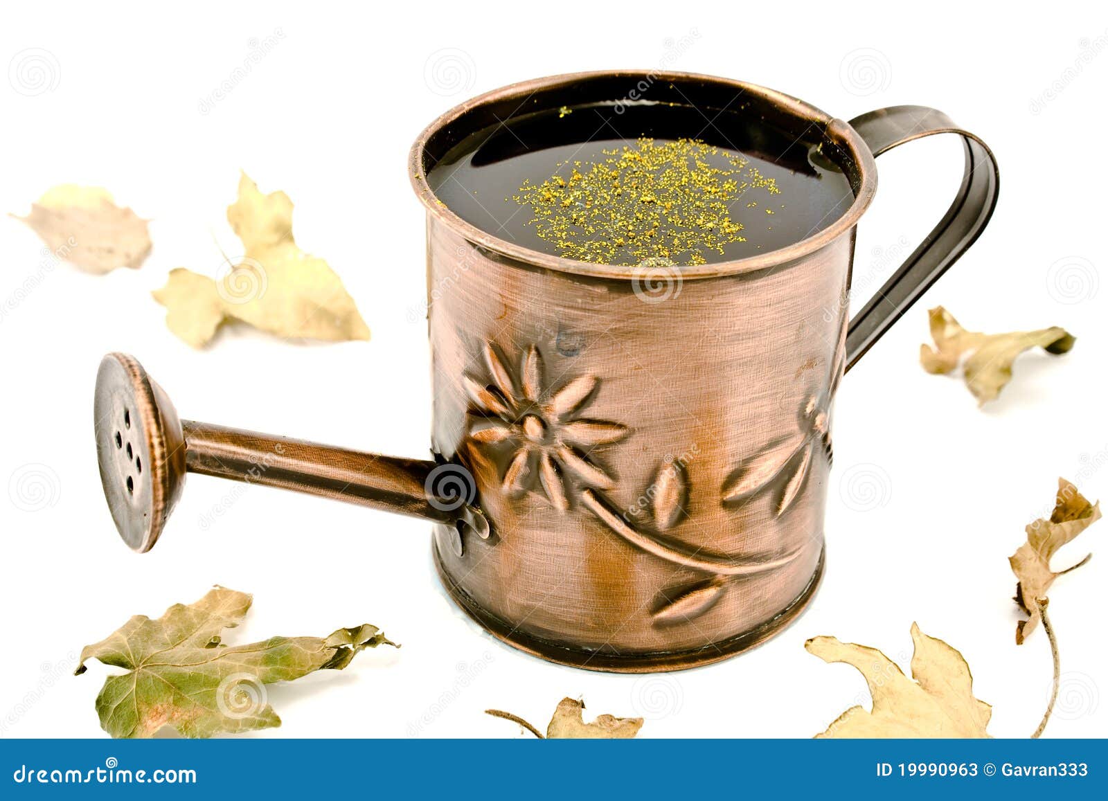 Small Watering Can with Dry Leafs Stock Image - Image of watercan ...