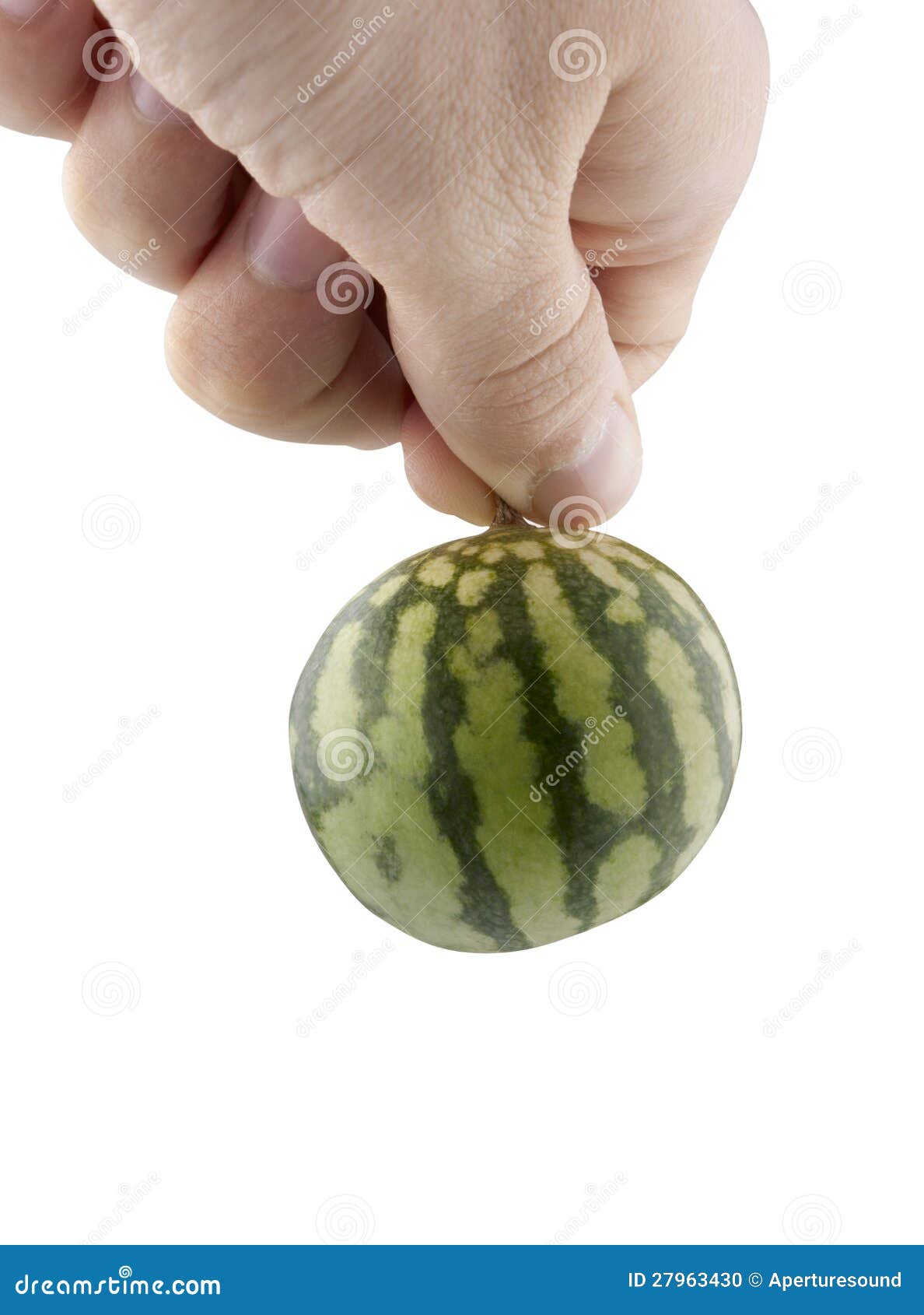 Small watermelon stock photo. Image of nature, fruit - 27963430