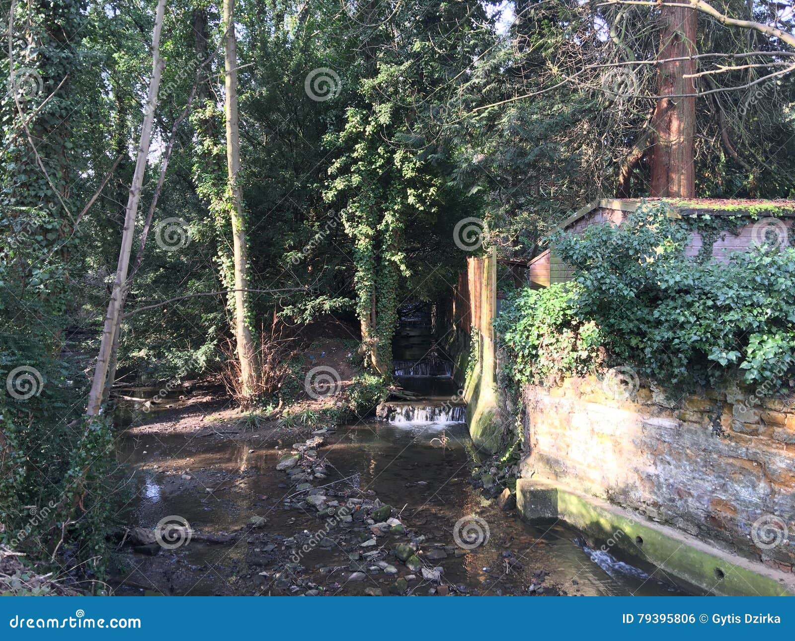 Small wather fall stock photo. Image of river, fall, wather - 79395806