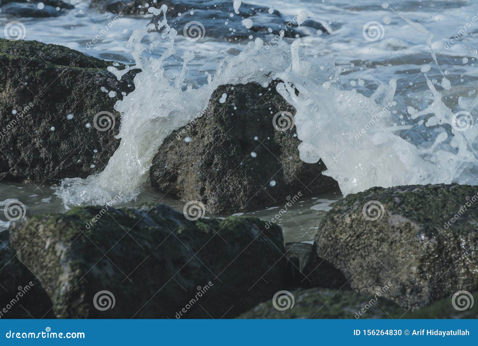 The Small Waves on the Beach Stock Photo - Image of corn, plants: 156264830