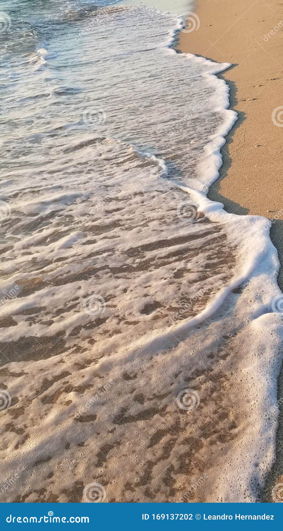 Small Waves Hitting the Beach Line Stock Photo - Image of water, bubble ...