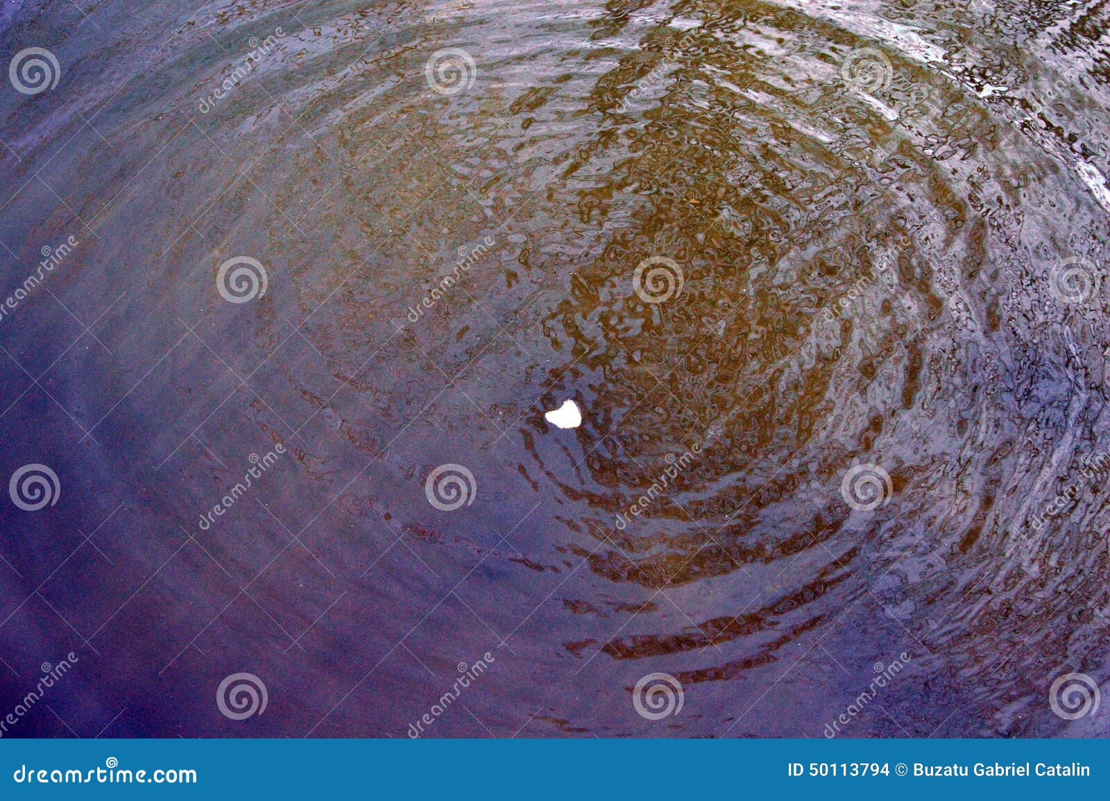 Small waves on a lake stock photo. Image of water, river - 50113794