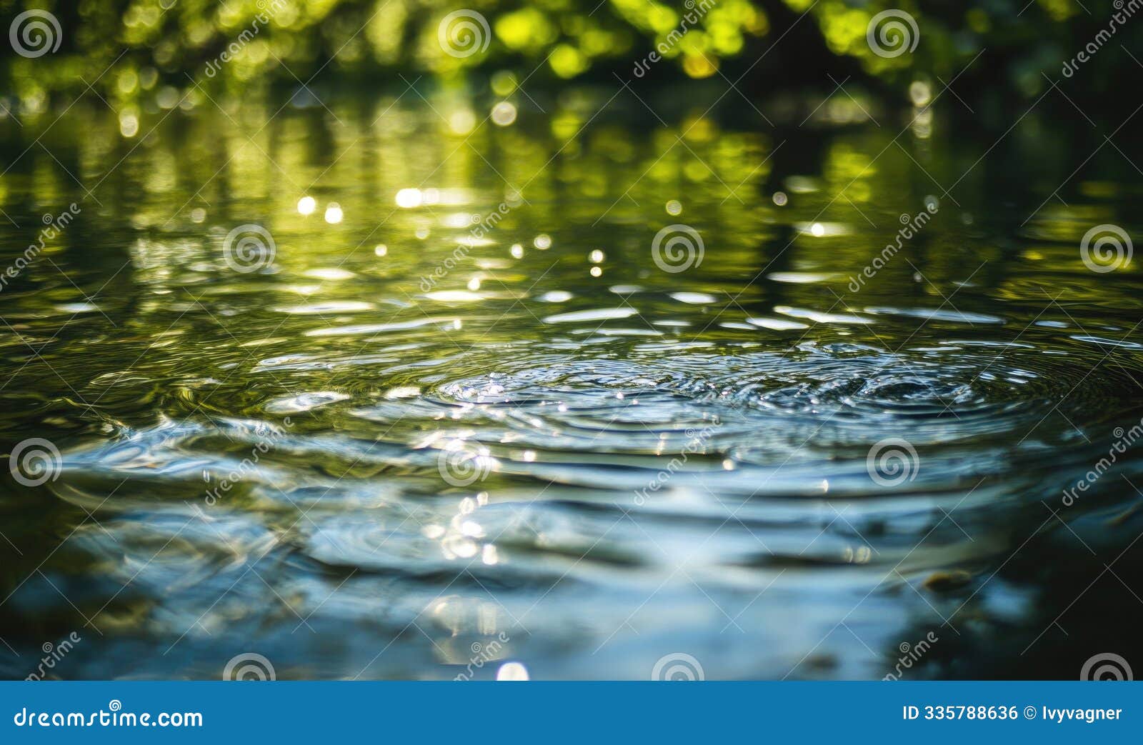 Small Waves on the Surface of a Pond, Sunlight Glinting Off the Water ...