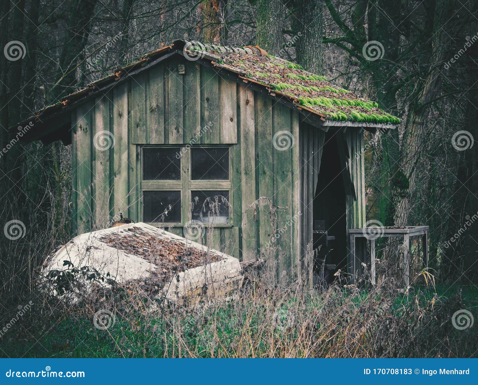 Small Weathered Hut in the Forest Stock Image - Image of forest ...