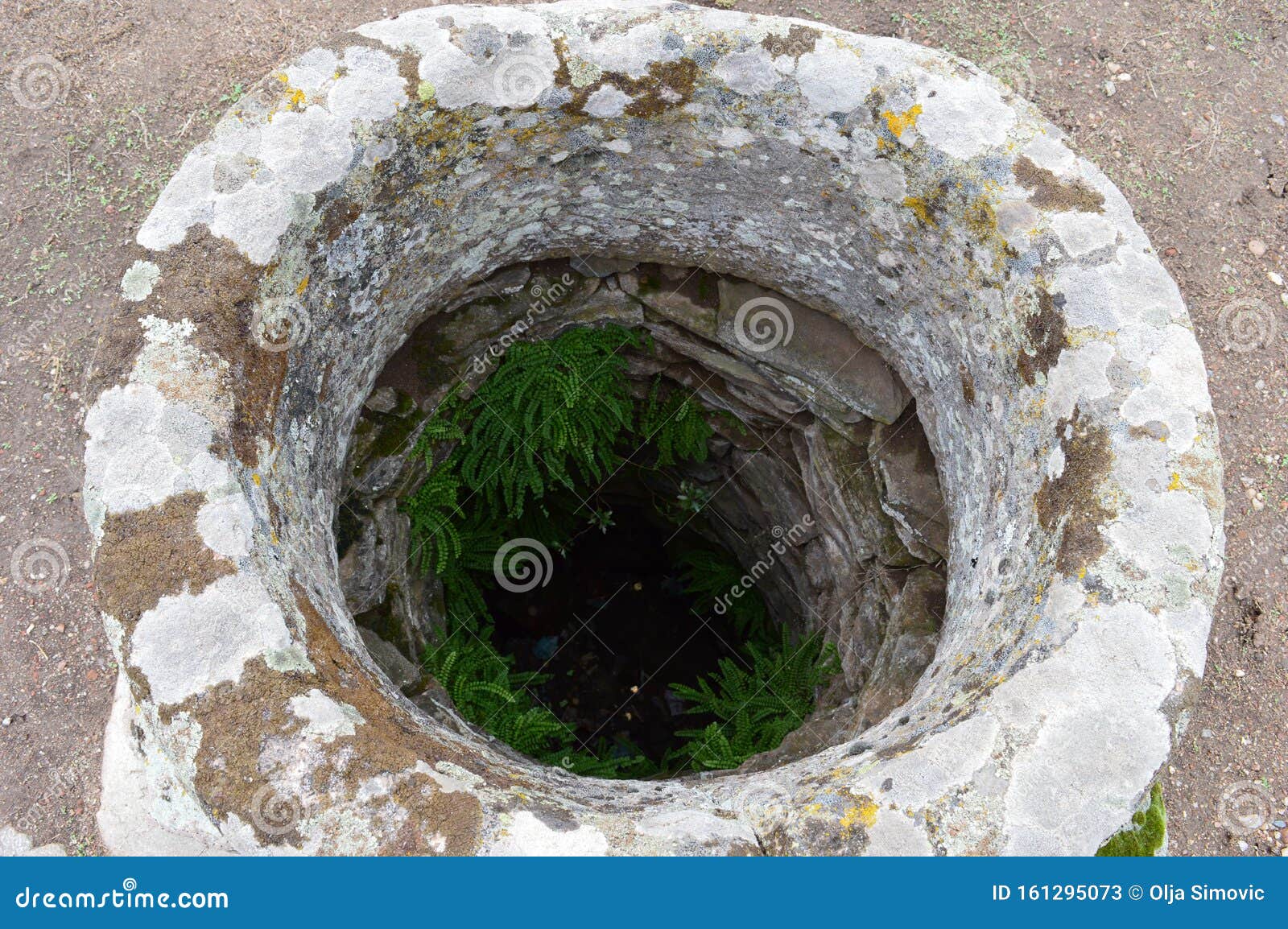 Small Well With Plants Background Stock Image | CartoonDealer.com #66494293