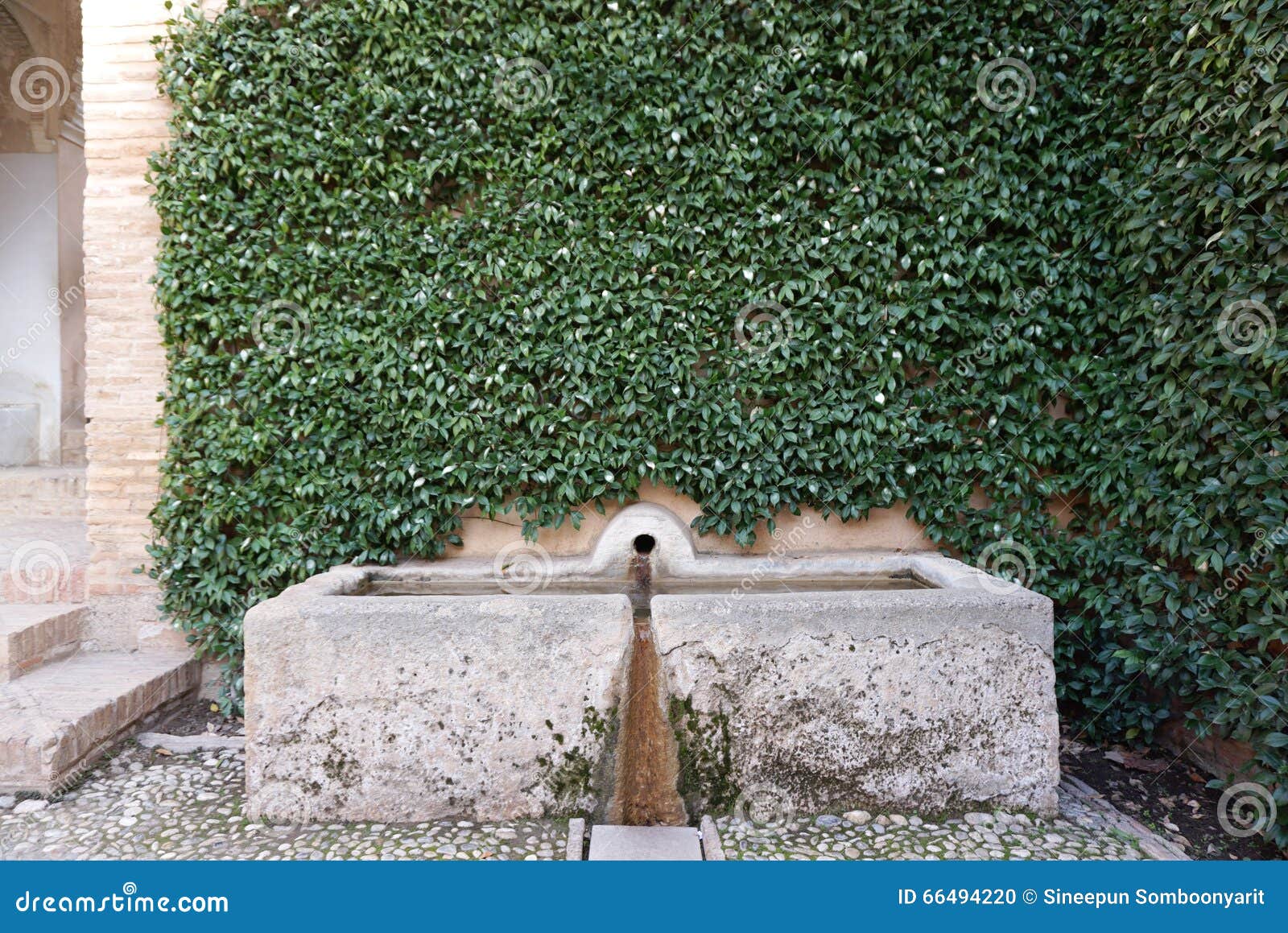 Small Well with Plants Background Stock Photo - Image of plash, outdoor ...